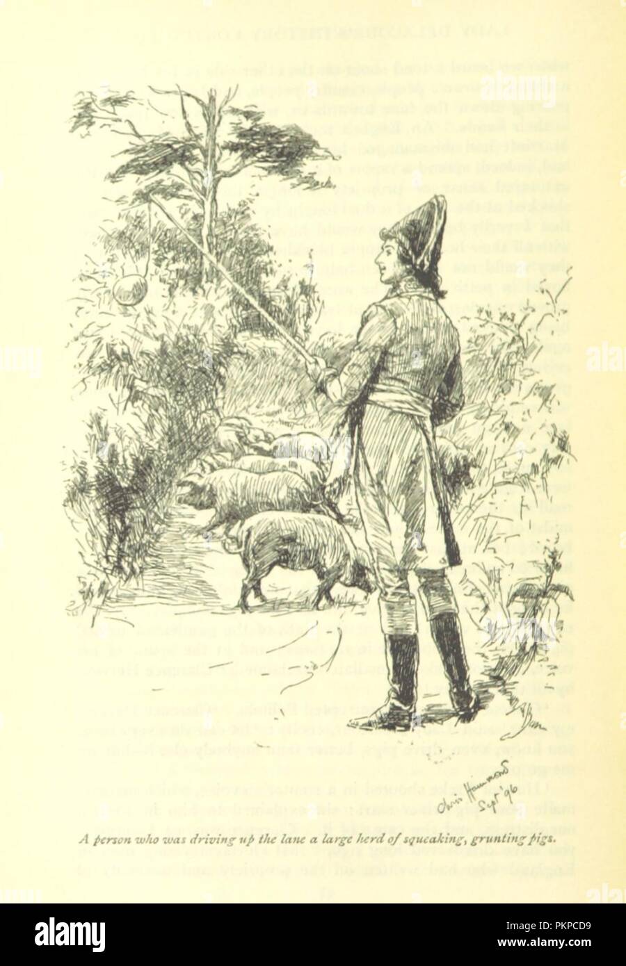 Image from page 82 of 'Belinda . Illustrated by C. Hammond. With an ...