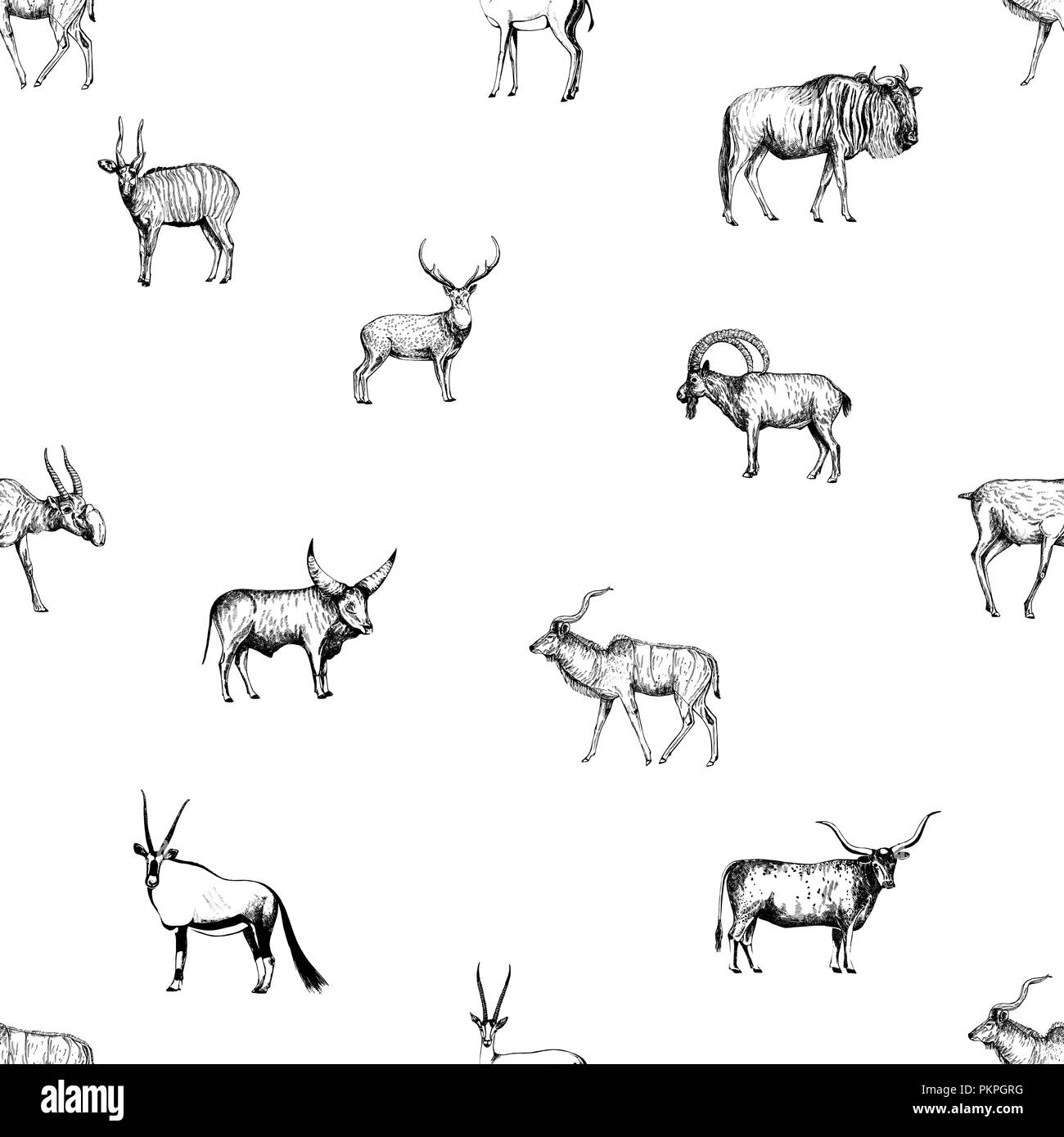 Seamless pattern of hand drawn sketch style ungulates isolated on white ...