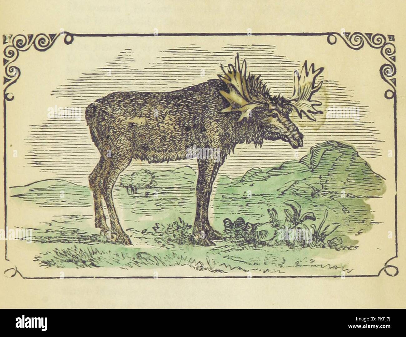 Image from page 157 of 'New nd original Poems, with notes, on Creation ...