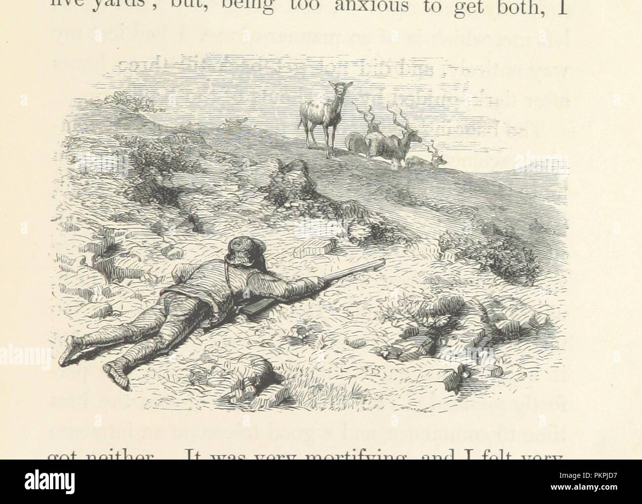 Image from page 161 of 'African Hunting from Natal to the Zambesi ...