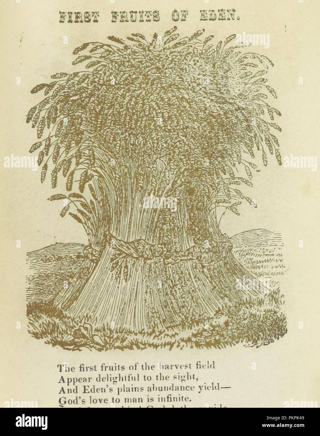 Footsteps of jesus hi-res stock photography and images - Alamy