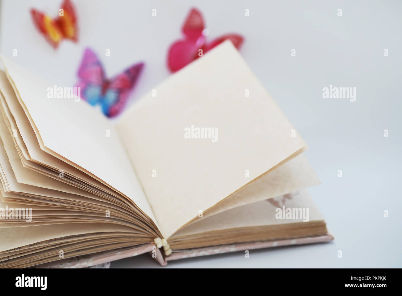 Female diary golden pen hi-res stock photography and images - Alamy