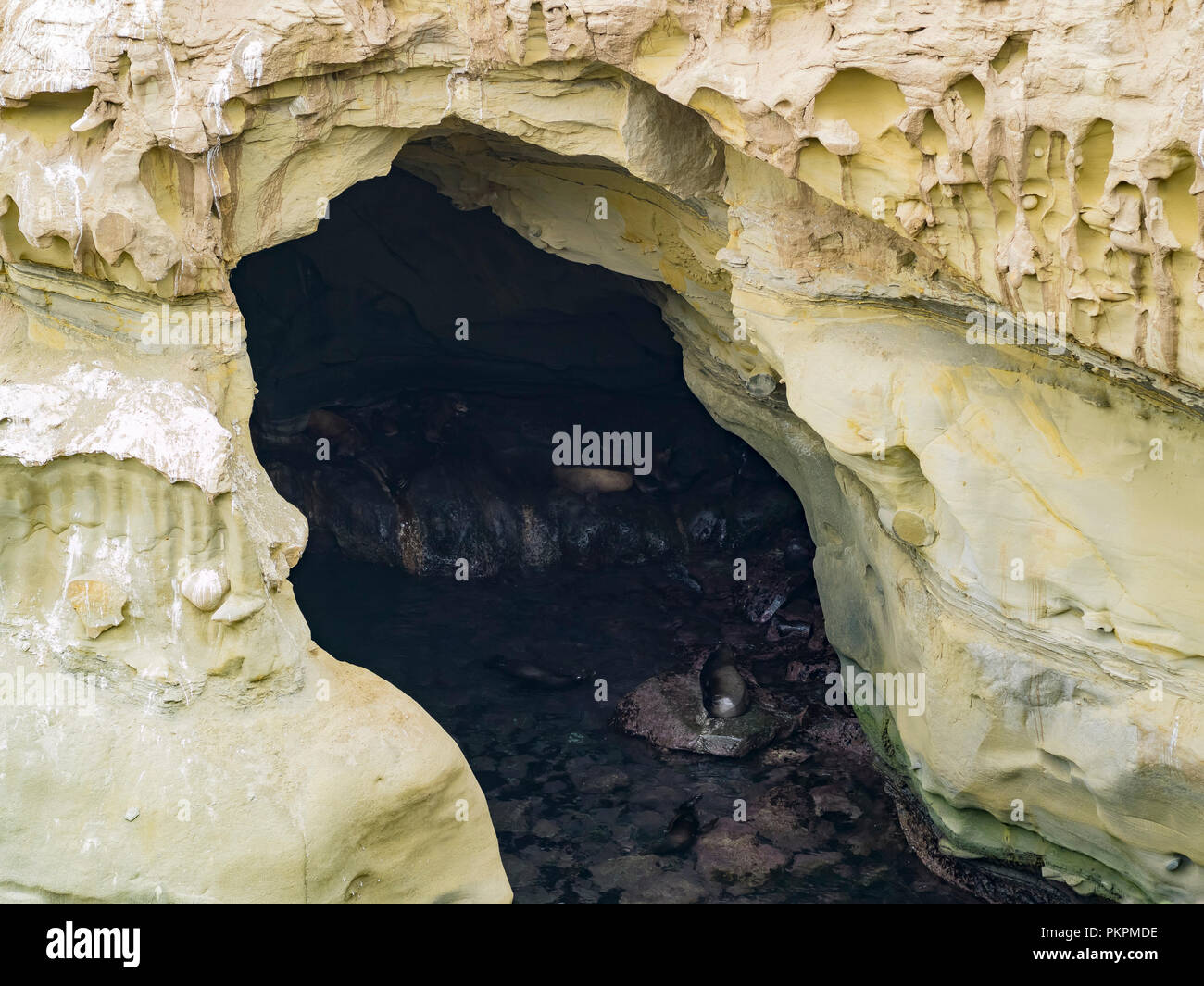 The famous La Jolla Cove at San Diego Stock Photo - Alamy