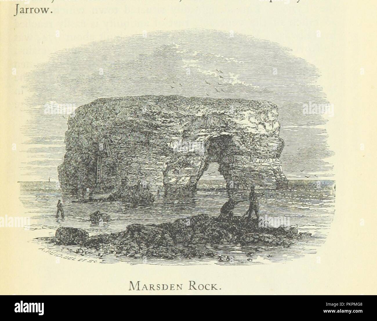 Image from page 195 of 'A Hand-book to Newcastle-on-Tyne. Illustrated ...