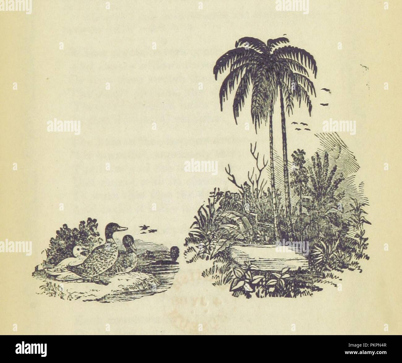 Image from page 205 of 'New nd original Poems, with notes, on Creation ...