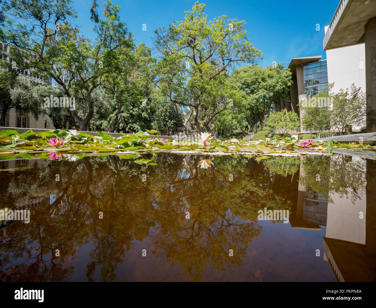 Exterior view of a beautiful building in Caltech with beautiful ...