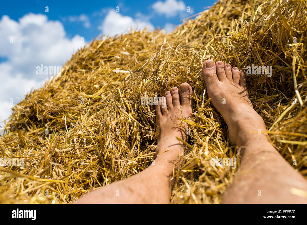 male feet on harvest, hay bale with collected crops Stock Photo - Alamy