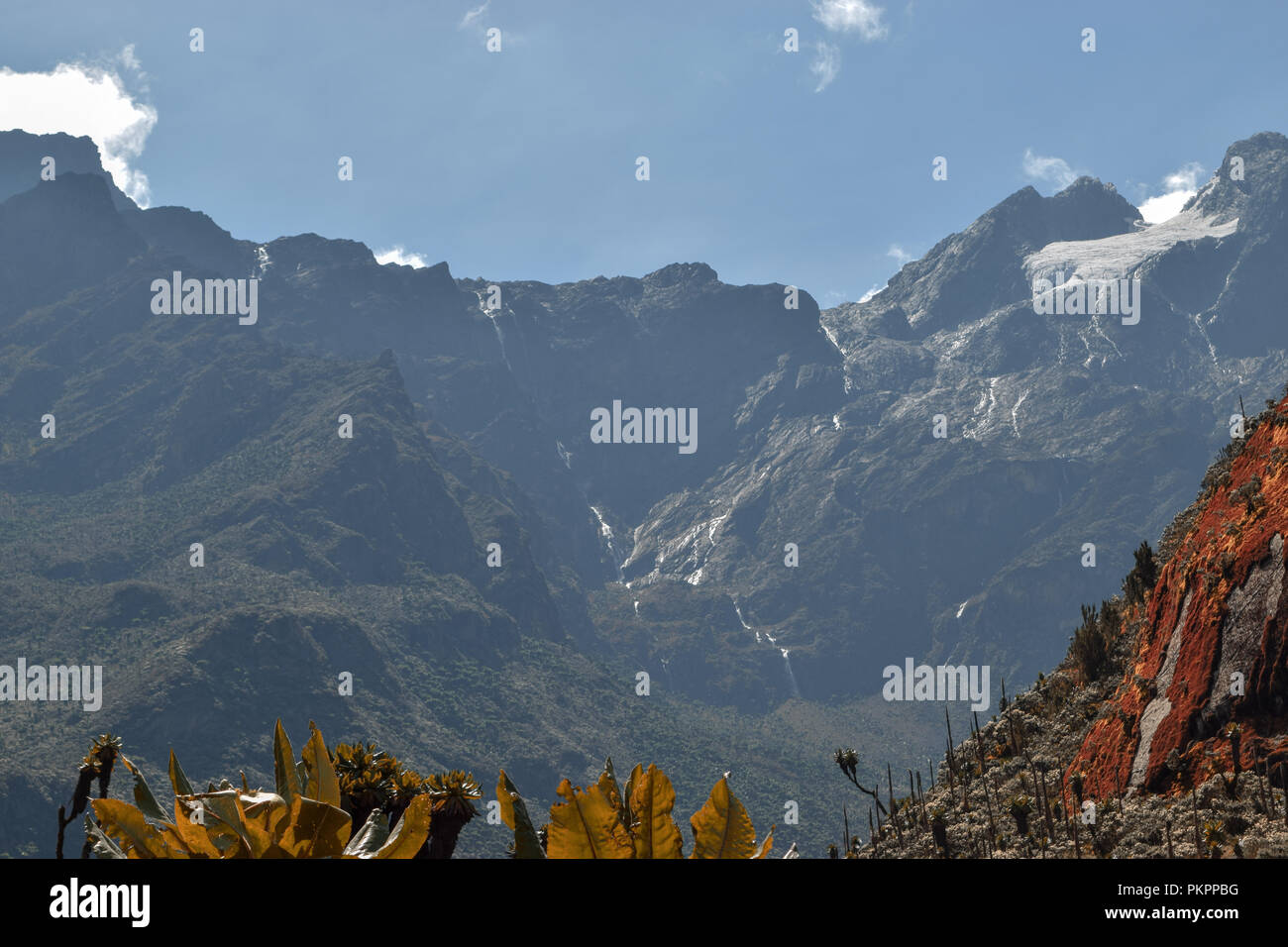 The glaciers of Mount Stanley in the Rwenzori Mountains seen from ...