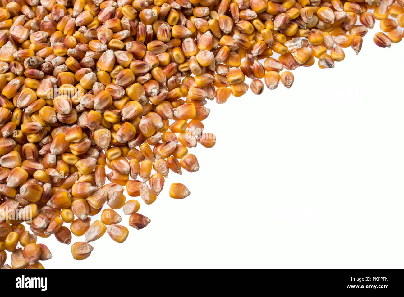 corn grain close-up Stock Photo - Alamy
