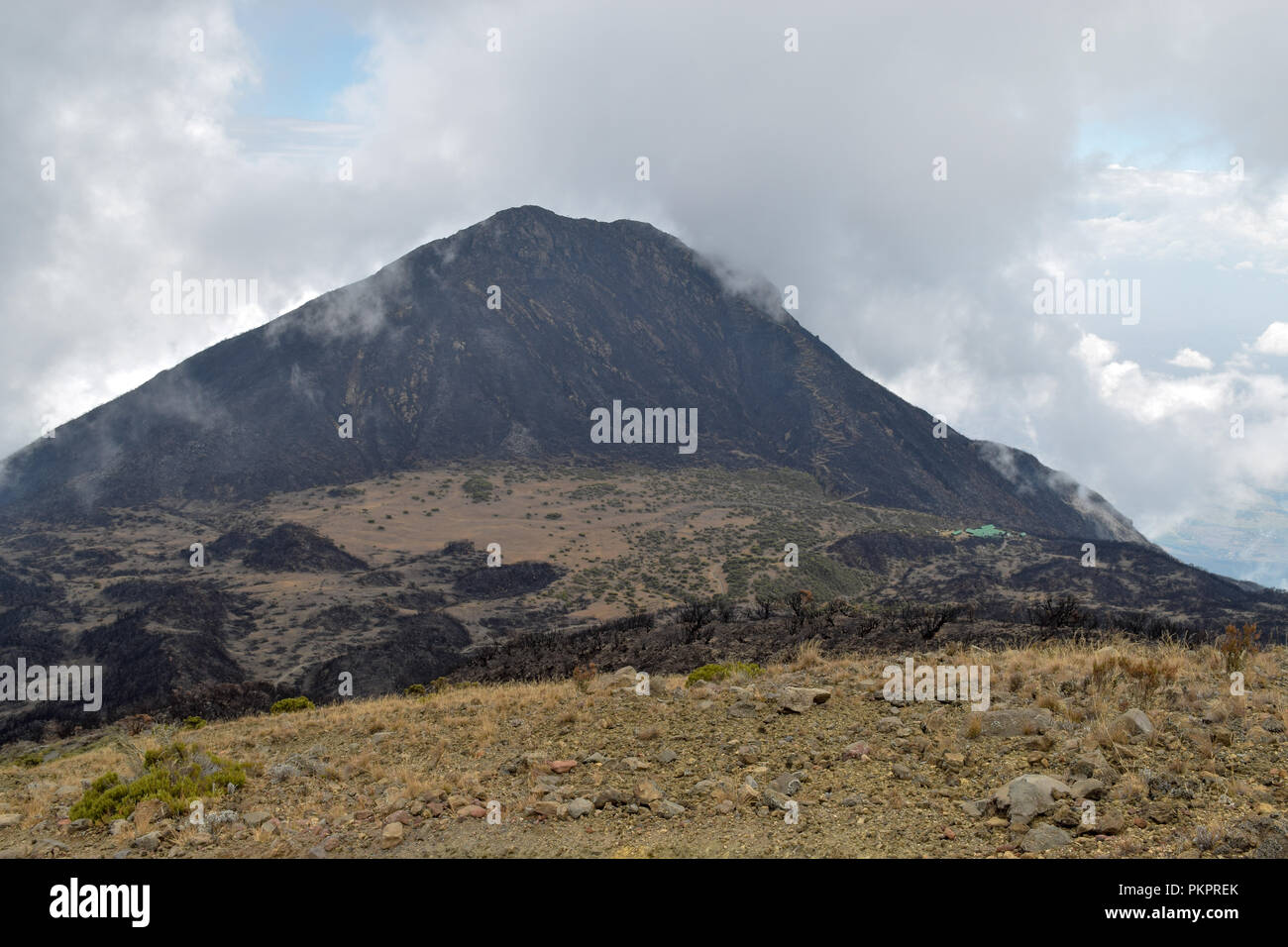 Little Meru in the Arusha National Park, Tanzania Stock Photo - Alamy