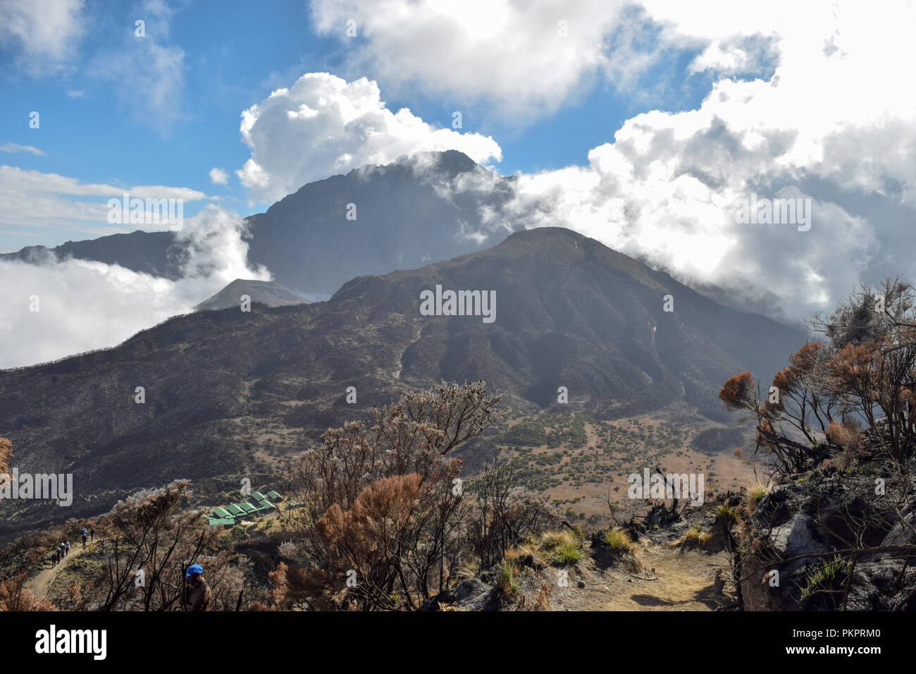 Mount Meru seen from Little Meru, Arusha National Park, Tanzania Stock ...