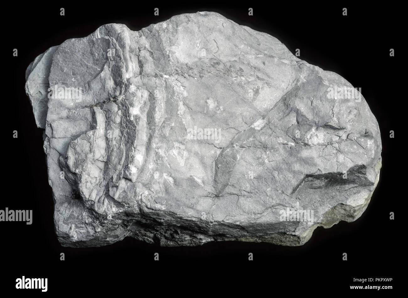 Siltstone Rock Siltstone Geology Superstore