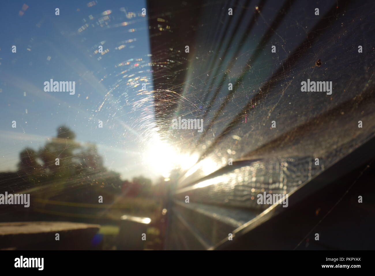 Web of Light Stock Photo - Alamy