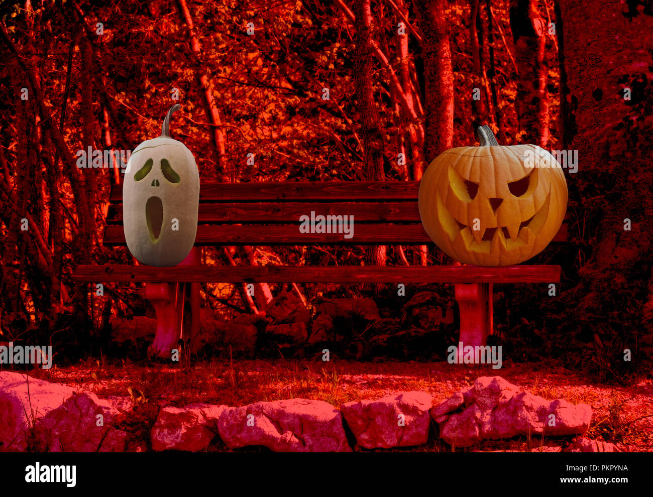 Halloween celebration two scary and spooky carved pumpkins on a park ...