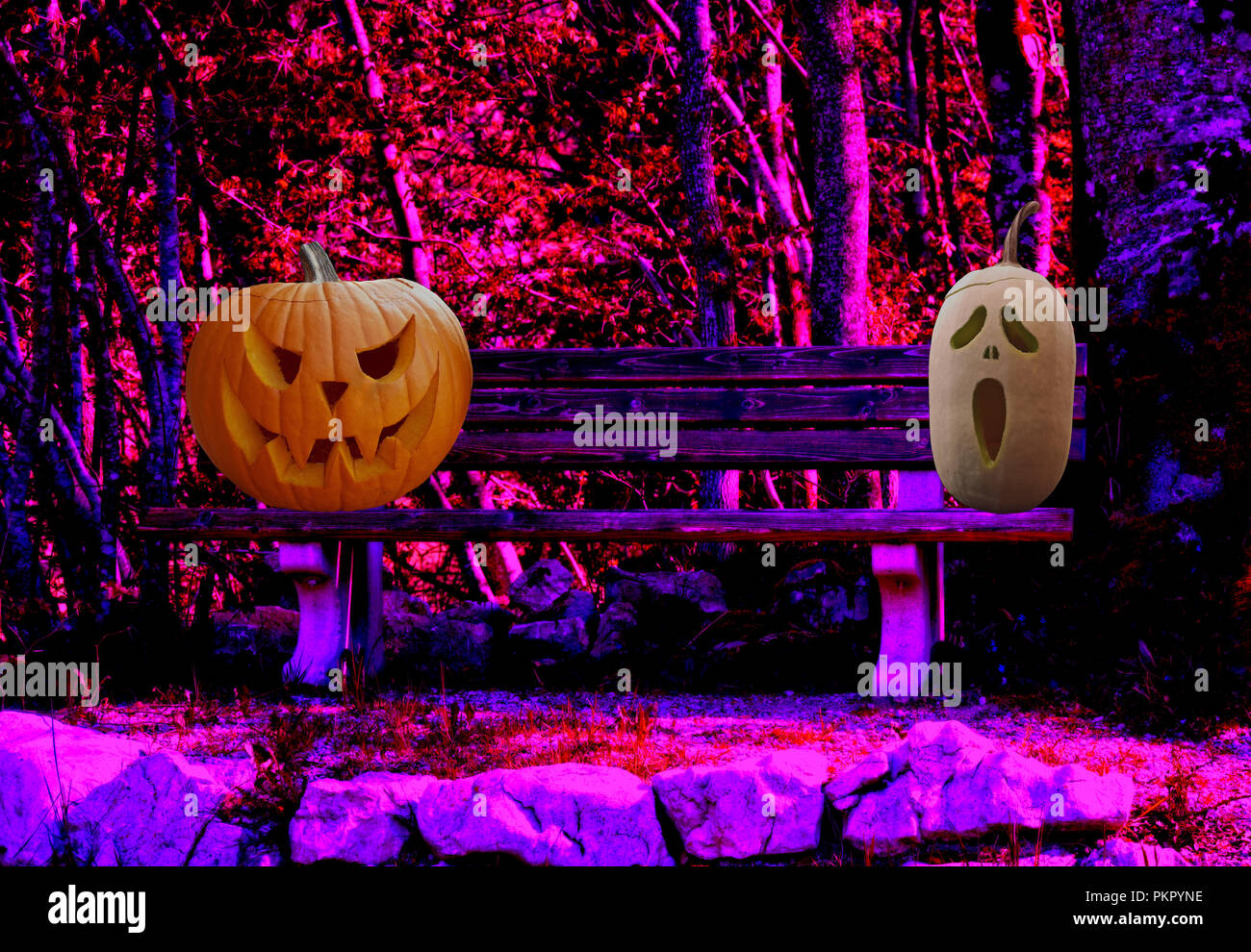 Halloween two scary carved pumpkins on a park bench in a spooky forest ...