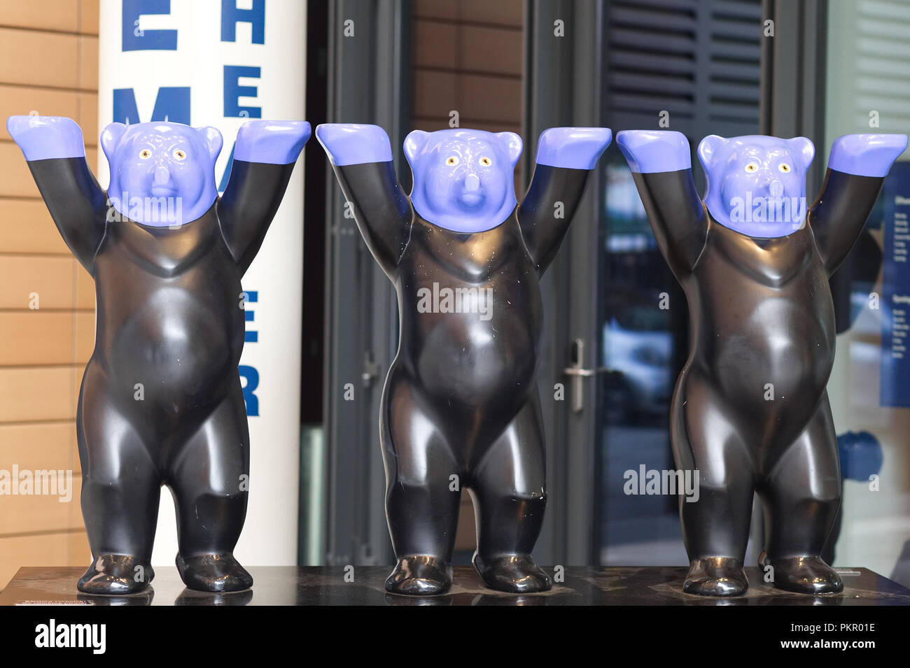 Group black bears hi-res stock photography and images - Alamy