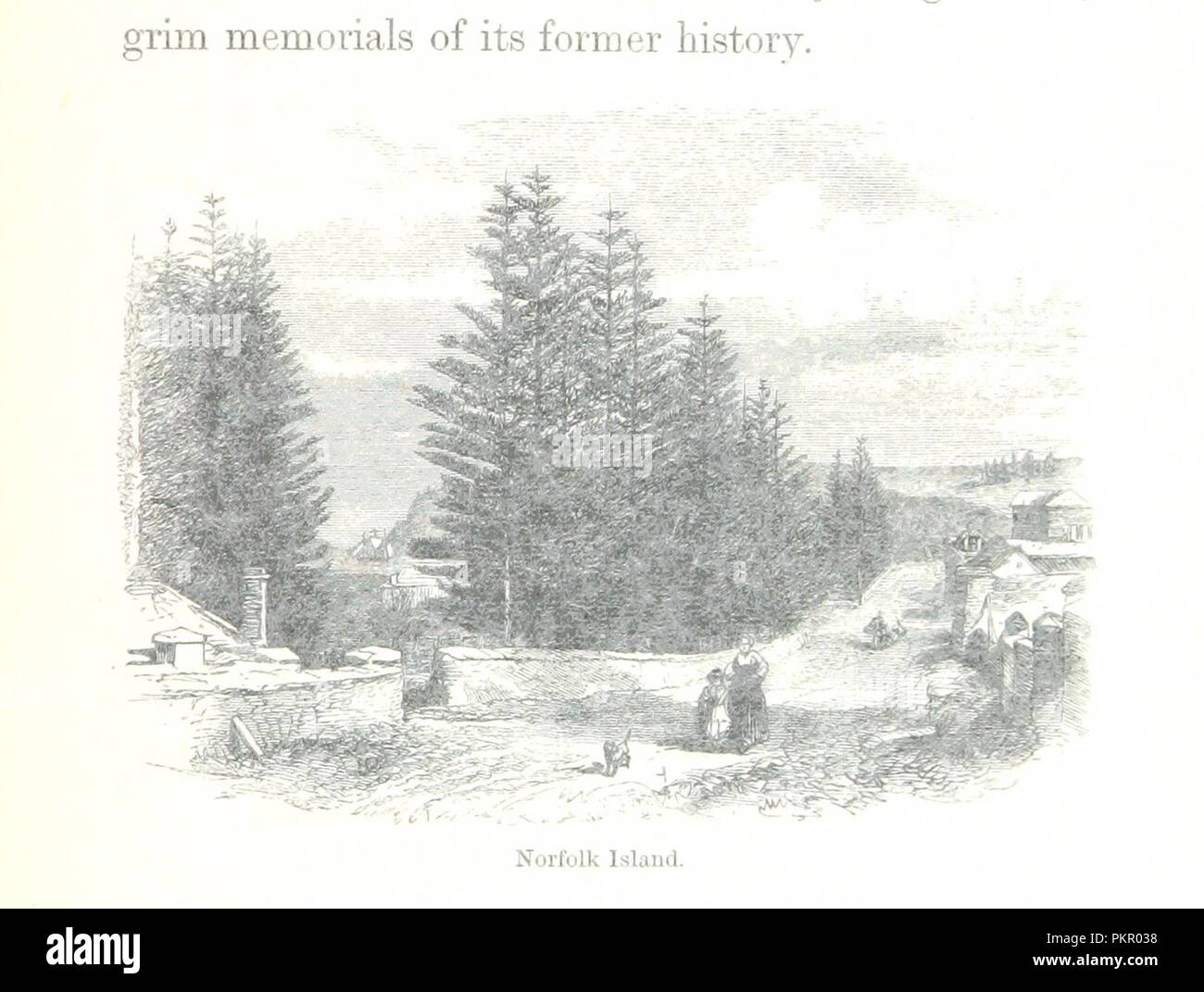 Fawn illustrations hi-res stock photography and images - Alamy