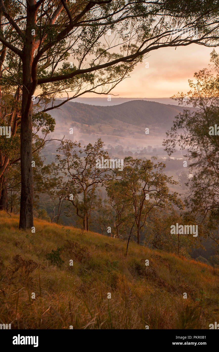 Sunrise with golden sky and mist lying in valley below forest at ...