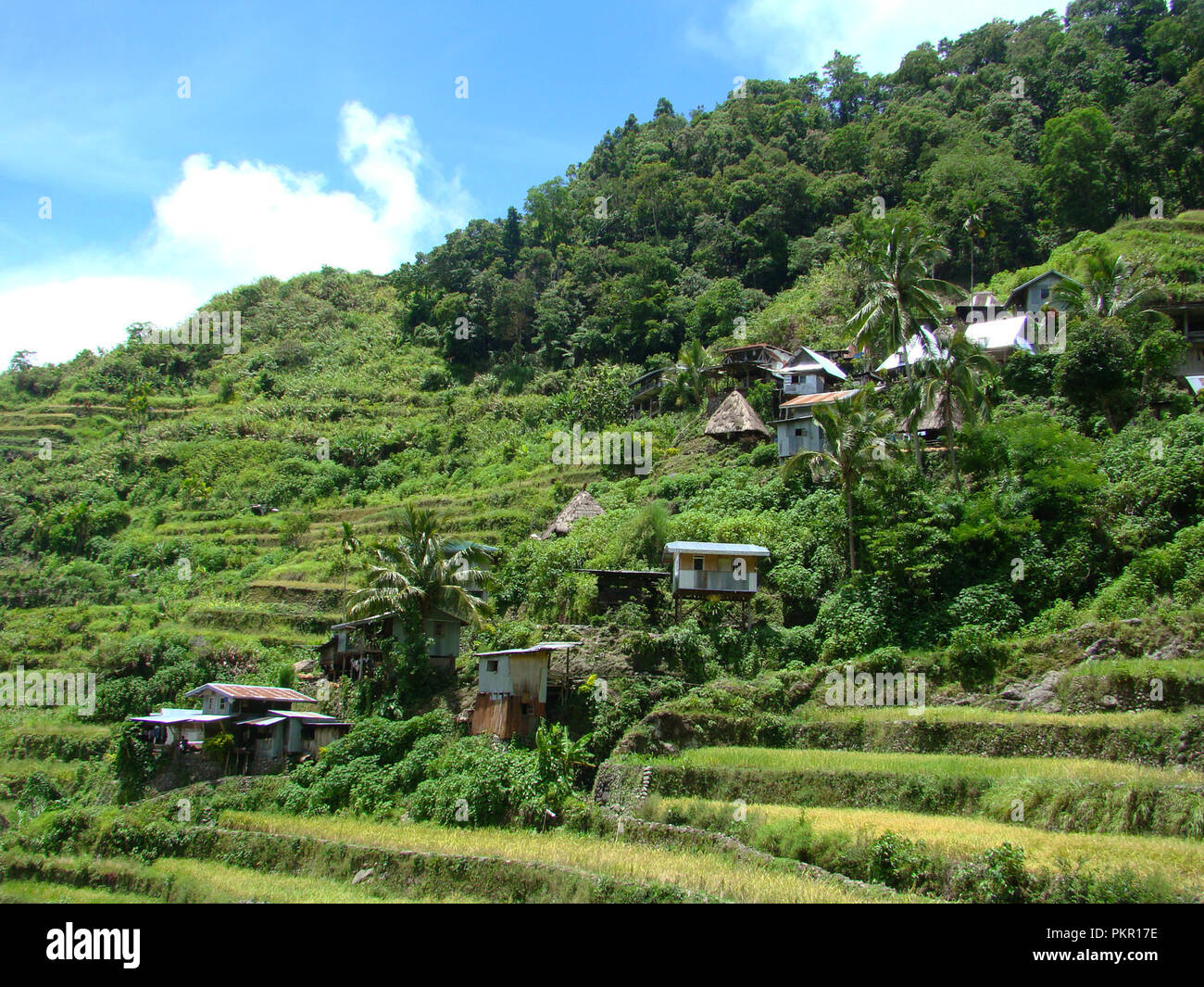 Sustainable Development Goals: forested mountains and terraced paddy ...