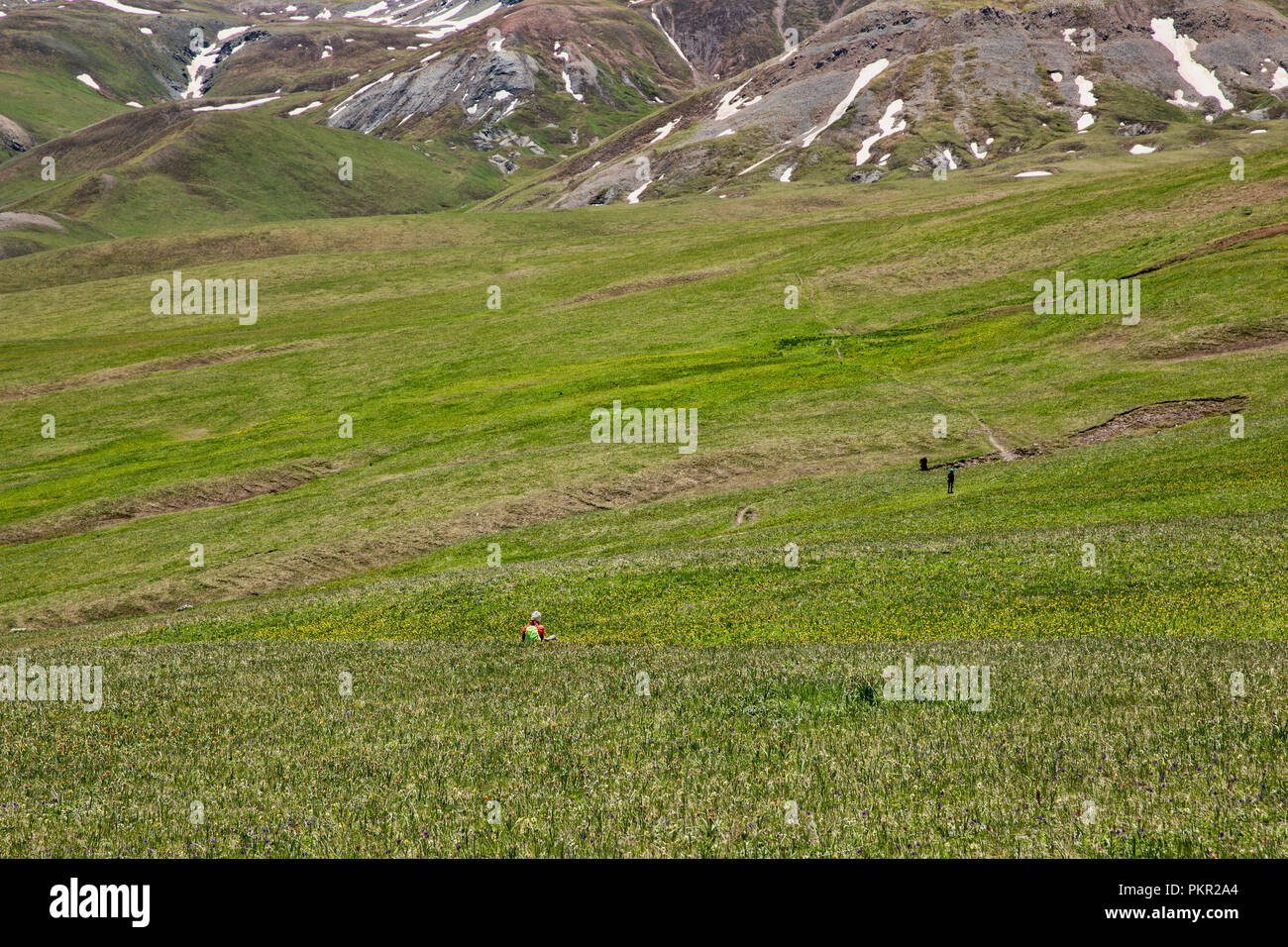 Trekkers cross high altitude pasture, Keskenkyia Loop trek, Jyrgalan ...