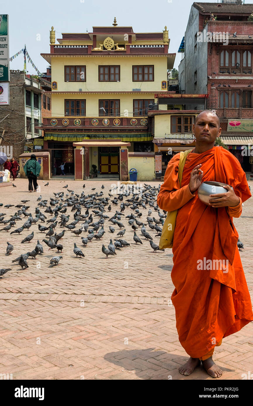 Buddhist monk and pigeons hi-res stock photography and images - Alamy