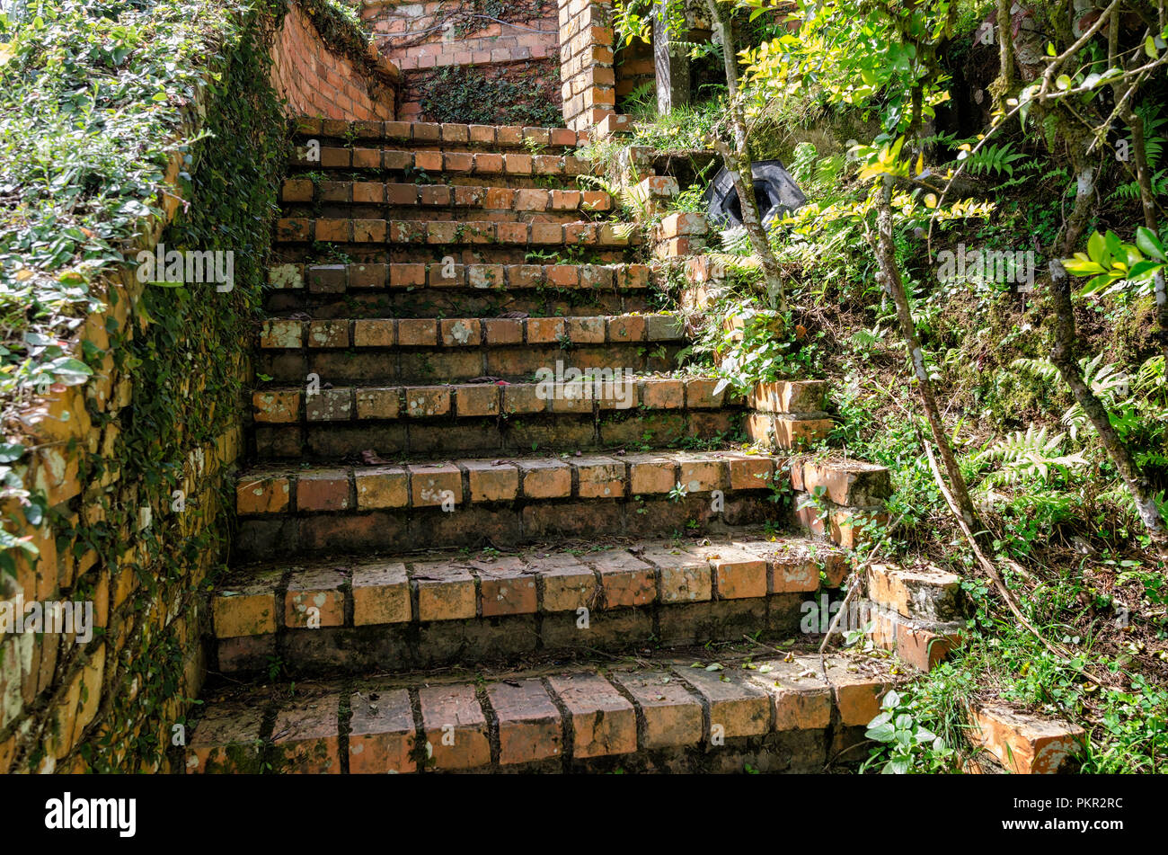 Old house stair case hi-res stock photography and images - Alamy