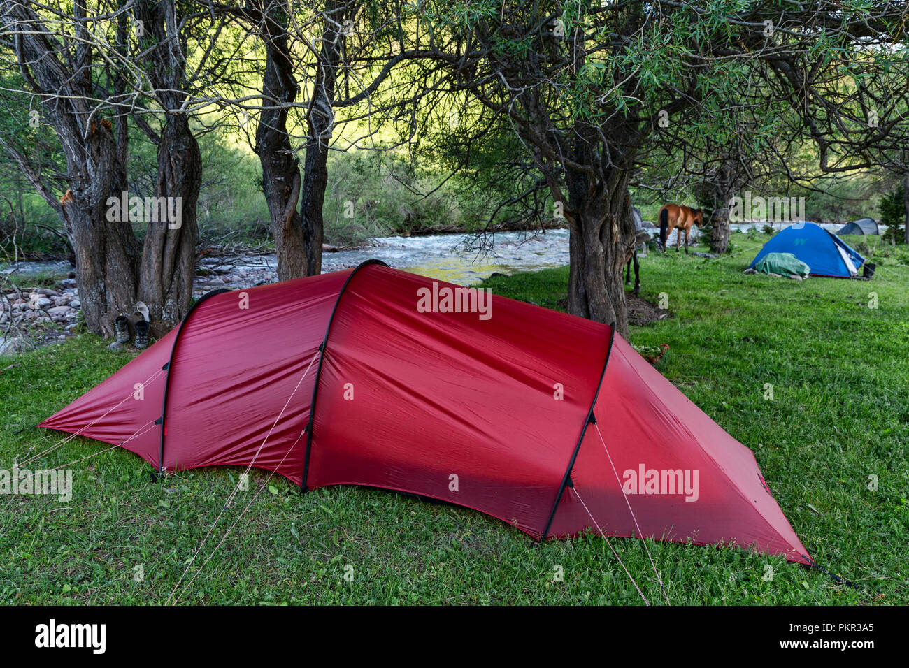 Backcountry camp next to Tyup River, Keskenkyia Loop trek, Jyrgalan ...
