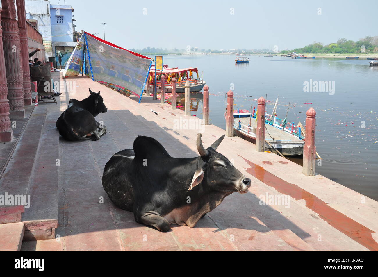 Mathura river hi-res stock photography and images - Alamy