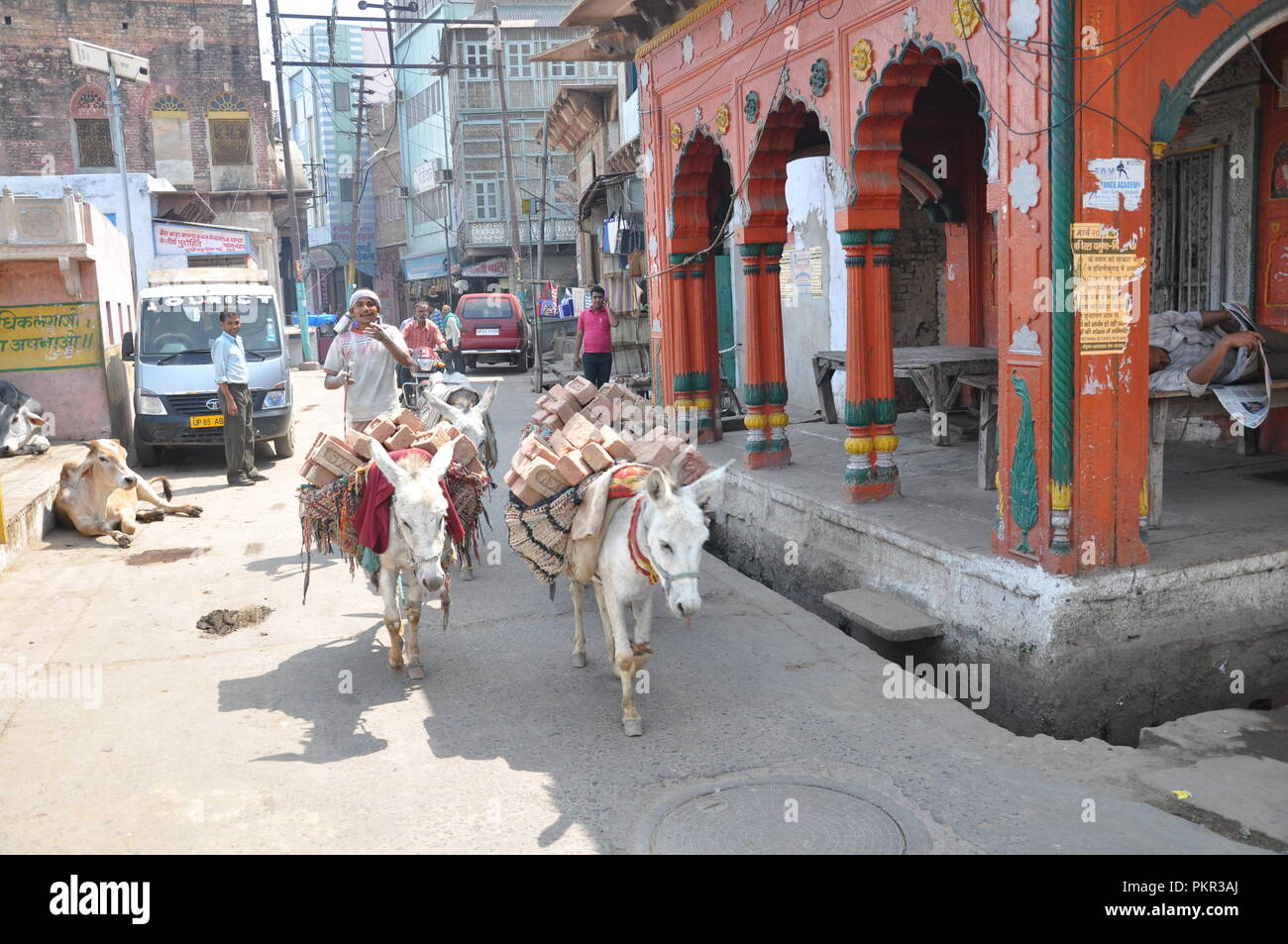 Mathura river hi-res stock photography and images - Alamy