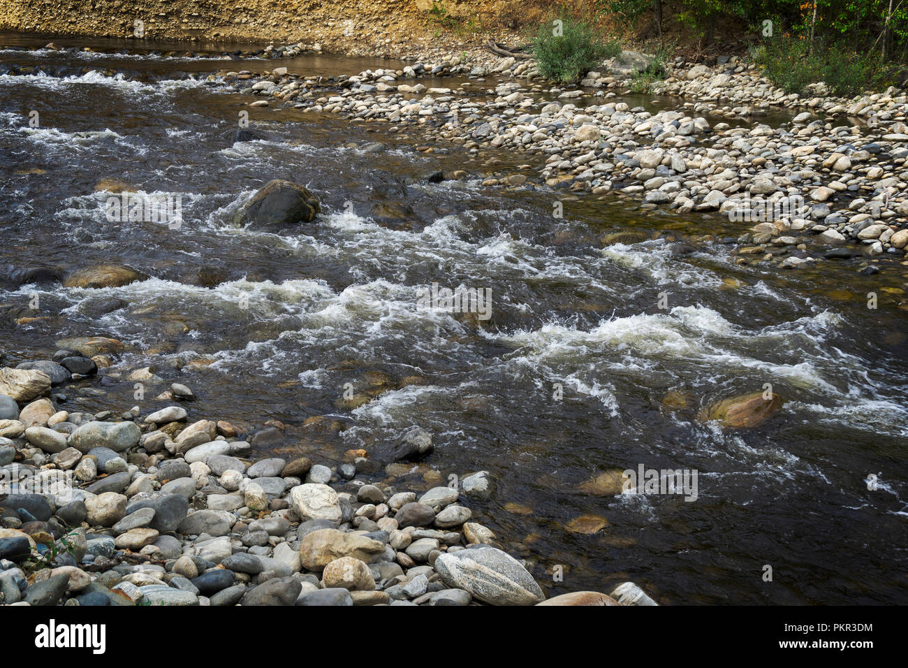 Mission Creek Greenway, Kelowna, BC Canada Stock Photo - Alamy