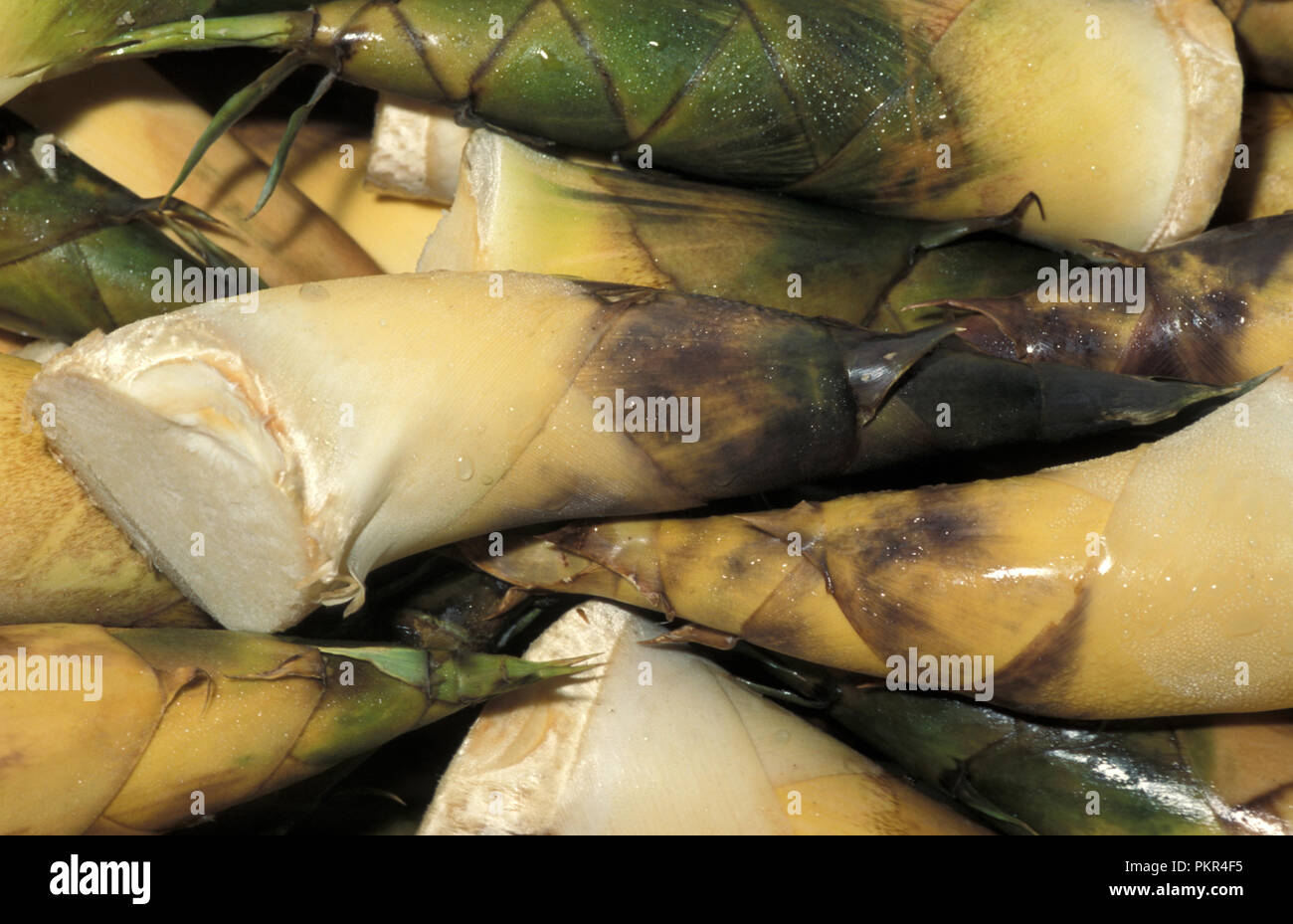 Edible shoots hi-res stock photography and images - Alamy