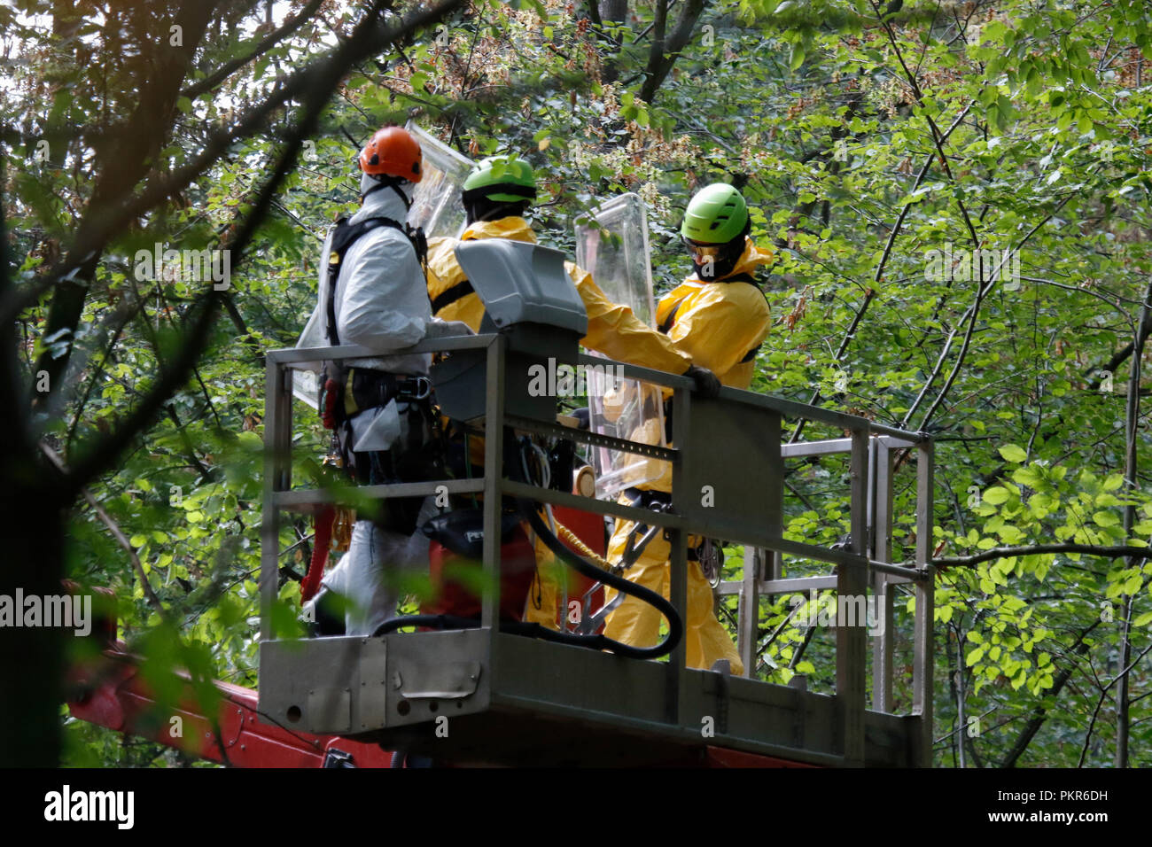 Mine Picker High Resolution Stock Photography and Images - Alamy