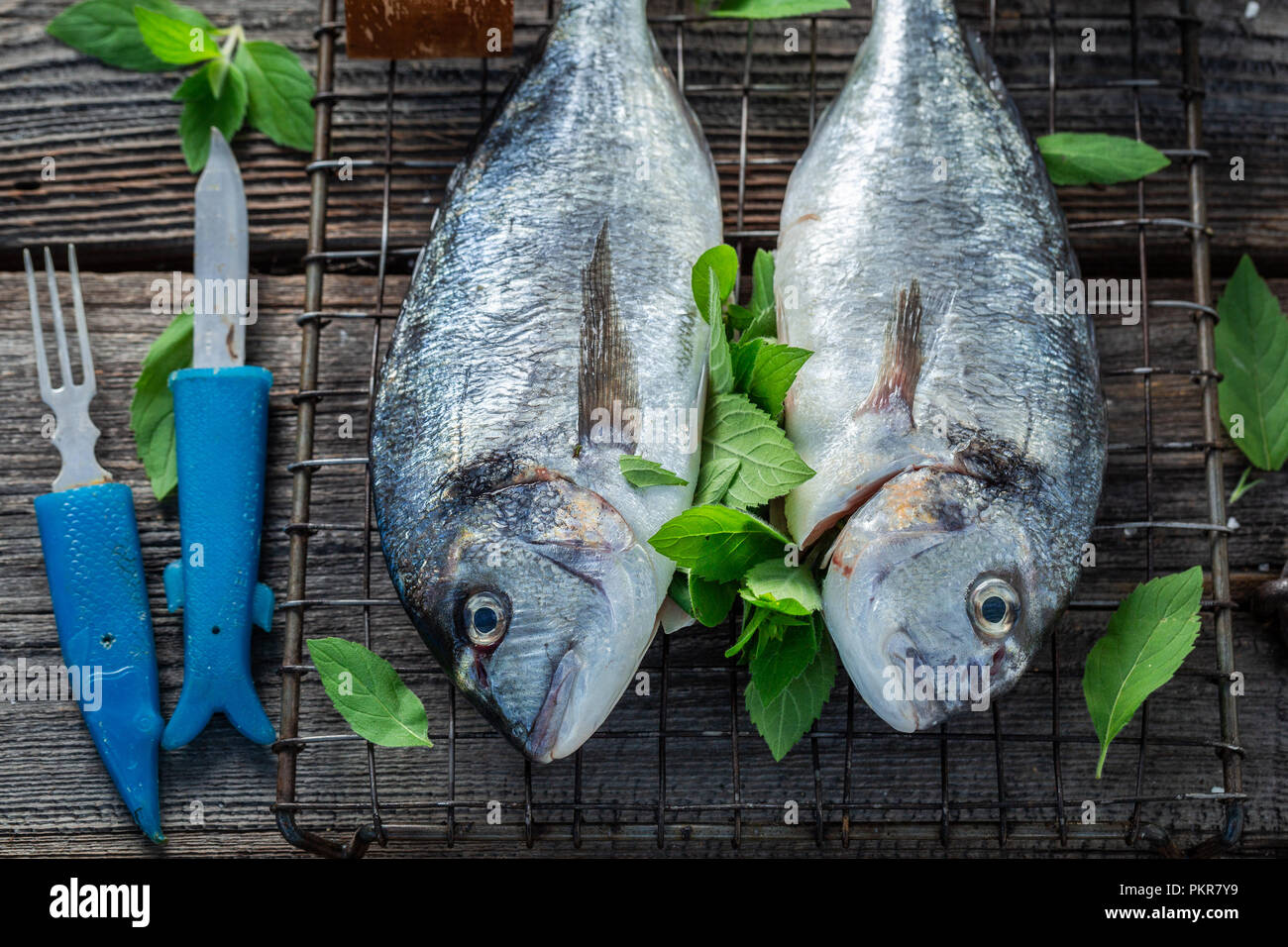 Preparing freshly caught fish with salt and herbs Stock Photo - Alamy