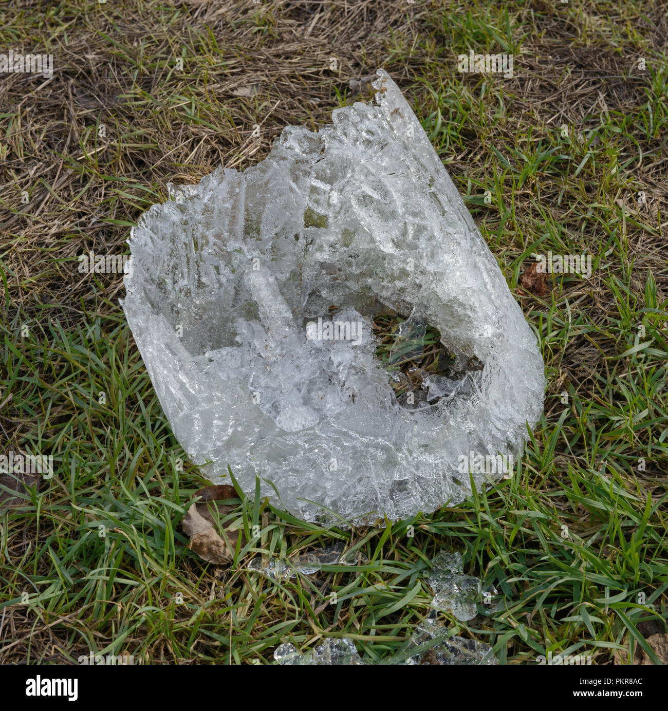 Thin shell structure hi-res stock photography and images - Alamy