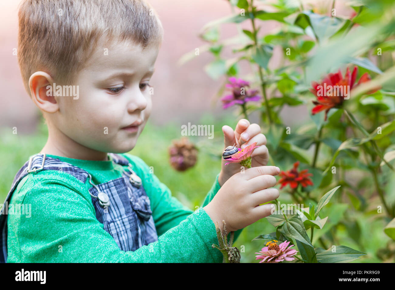 Happy little boy playing in the park with snail at the day time. Kid ...
