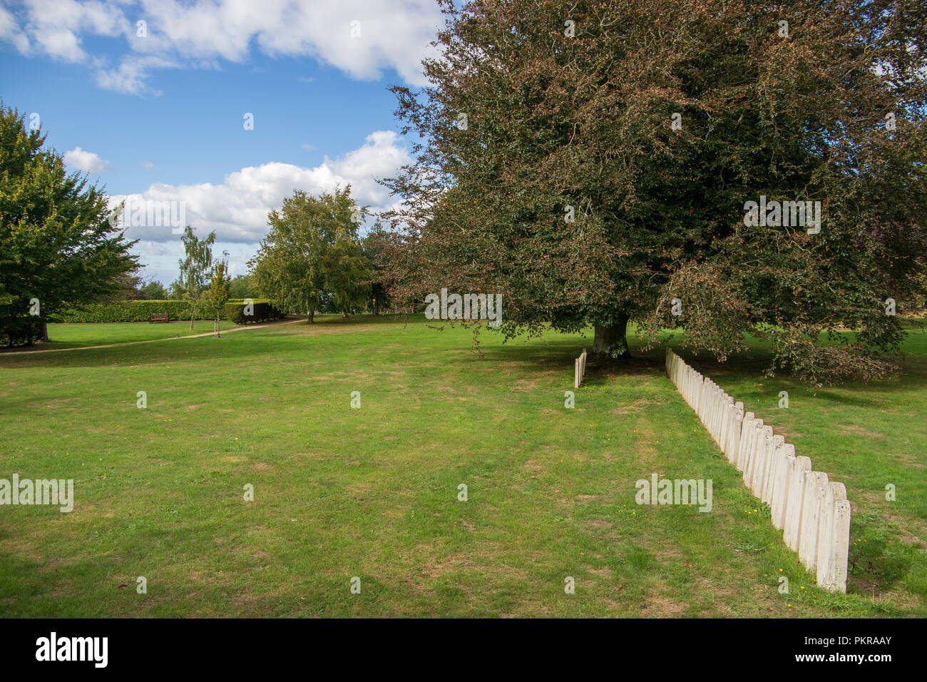 The 1939-1945 Bath Air Raid Graves at Haycombe Cemetery, Bath, England ...