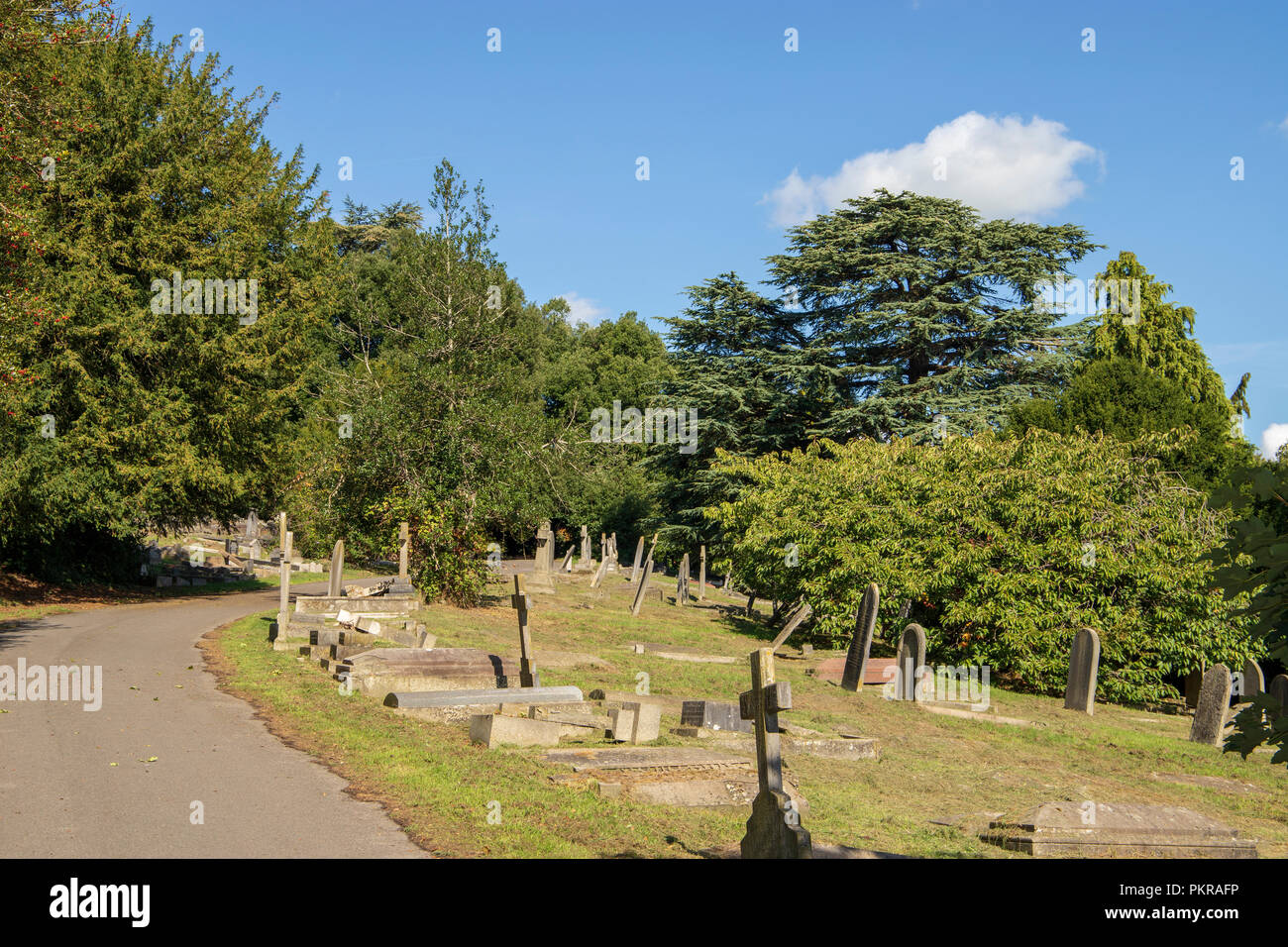 The Graveyard at Locksbrook Cemetery, Bath, United Kingdom Stock Photo ...