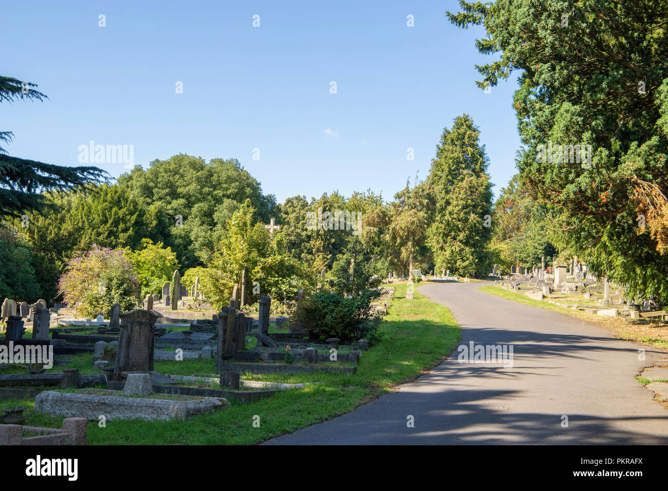 The Graveyard at Locksbrook Cemetery, Bath, United Kingdom Stock Photo ...