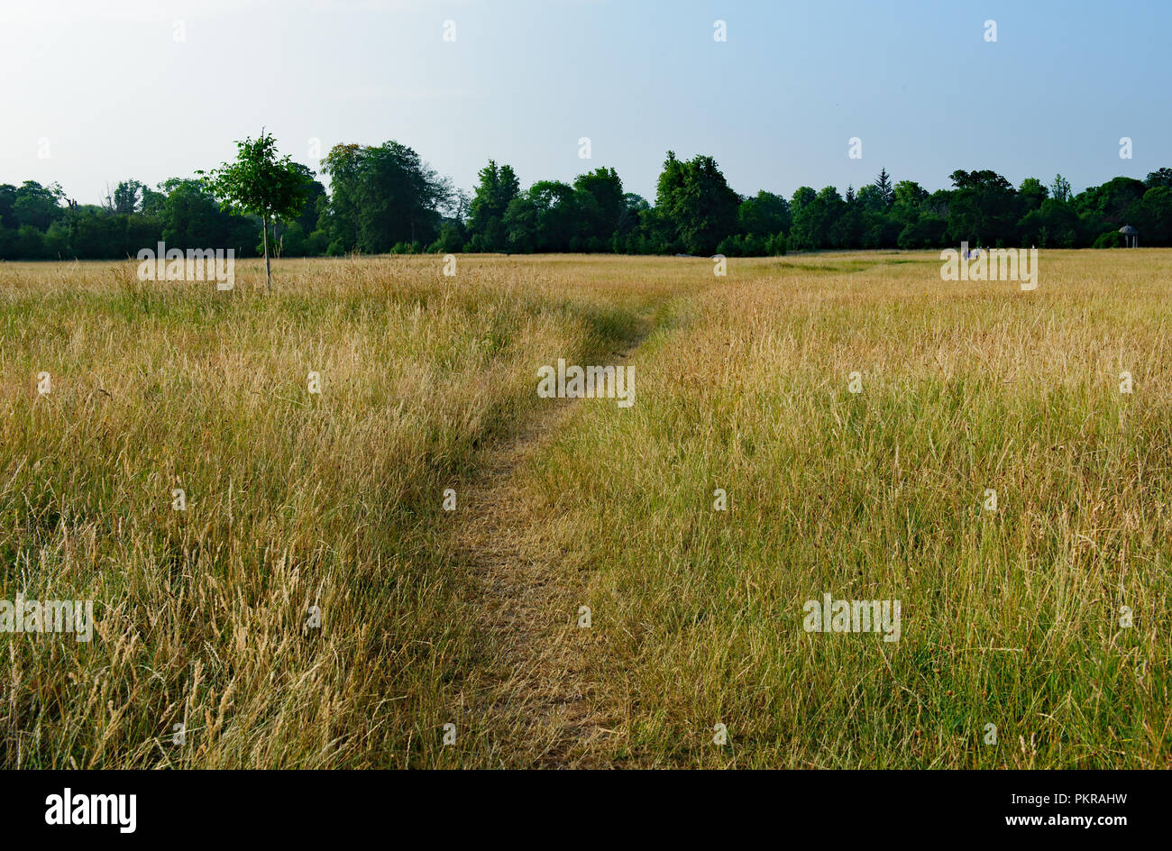 Countryside, Rural landscape, Irish landscape Stock Photo - Alamy