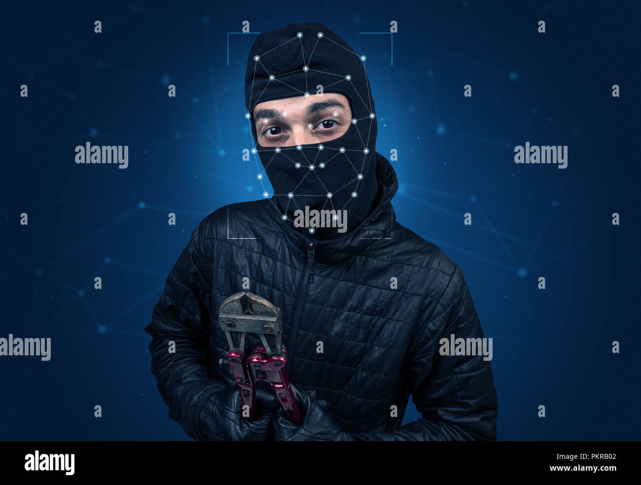 Recognition of a face by layering a mesh. Biometric verification and ...