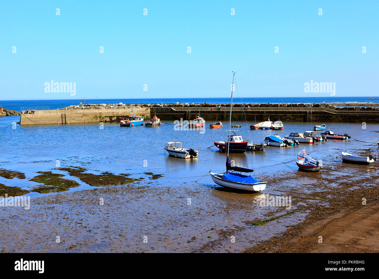 Staithes Harbour at Low Tide North Yorkshire Stock Photo - Alamy