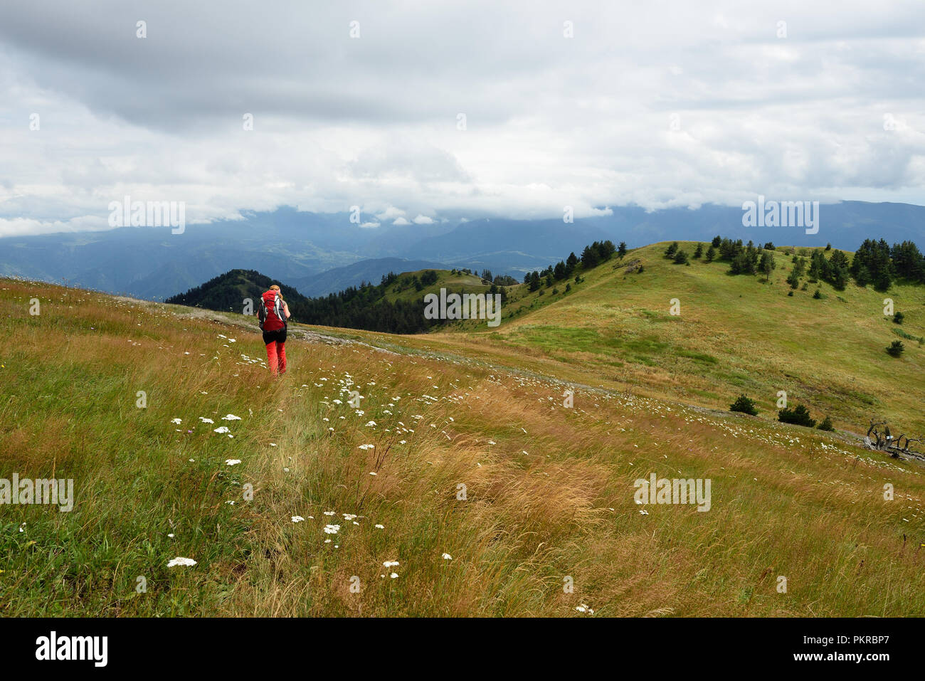 Treking in the mountains of the Borjomi-Kharagauli National Park in ...