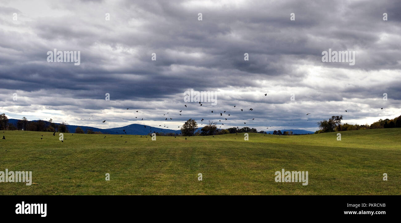Eastern views near Blandy Experimental Farm in Clarke County Virginia ...