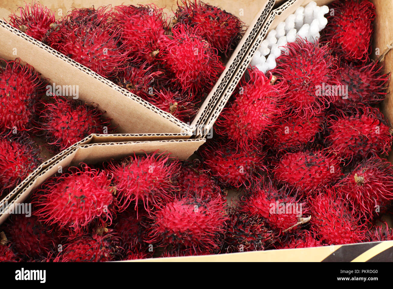 Rambutan tropical fruit texture Stock Photo - Alamy
