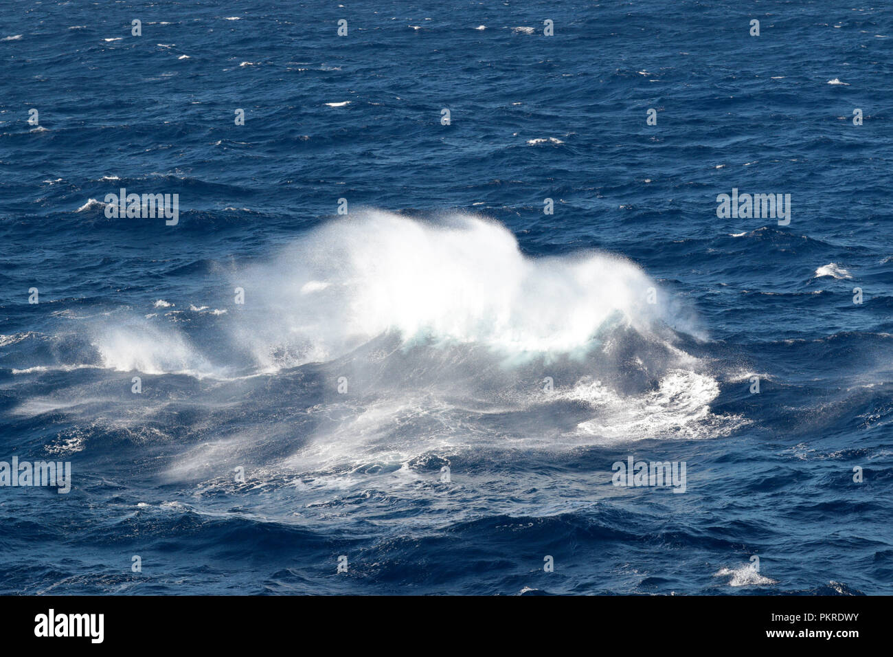 Sea waves beating in the wind and foaming. Breaking Waves on the sea ...