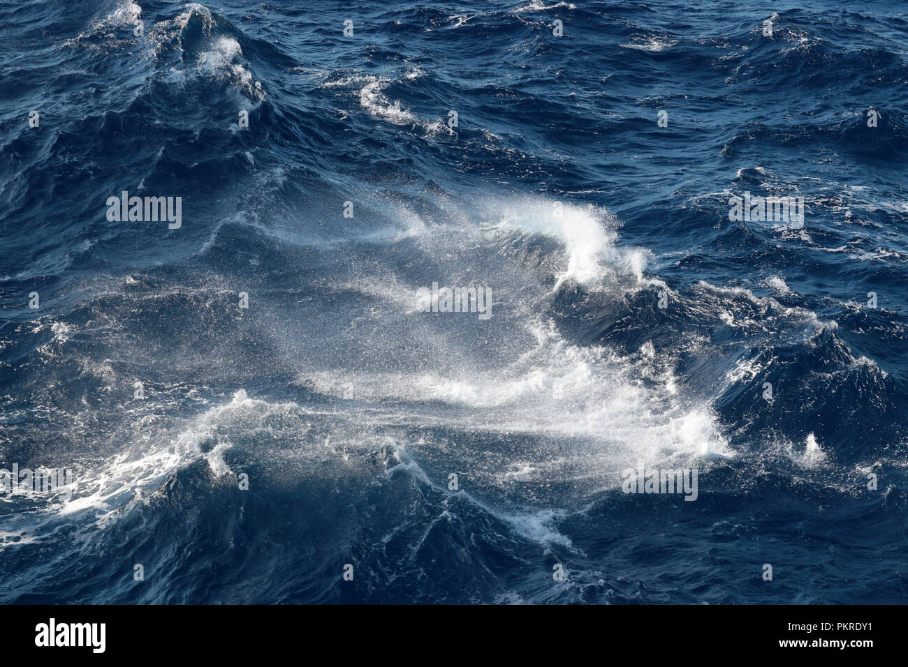 Sea waves beating in the wind and foaming. Breaking Waves on the sea ...