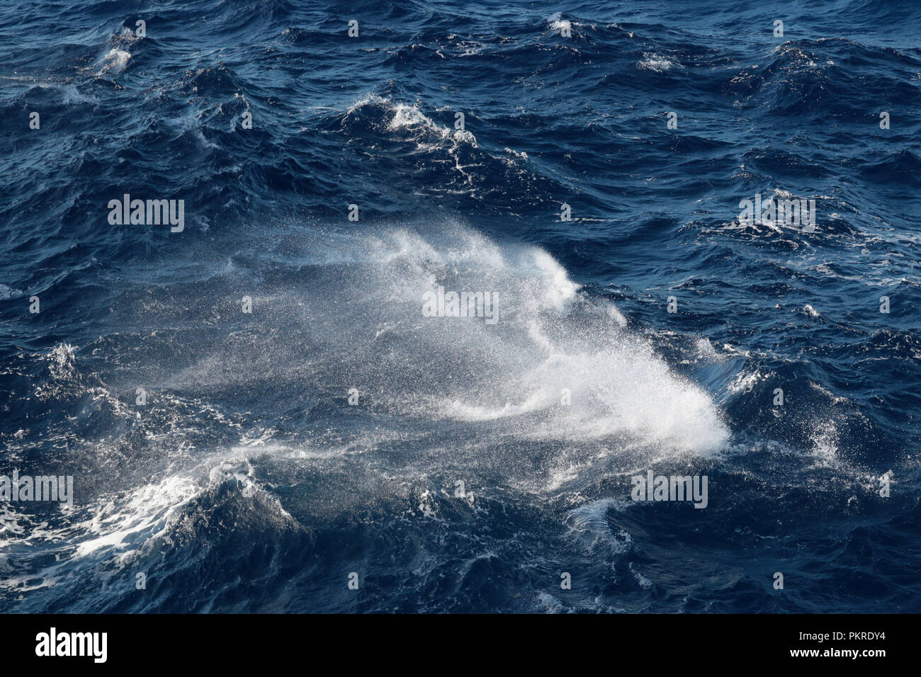 Sea waves beating in the wind and foaming. Breaking Waves on the sea ...