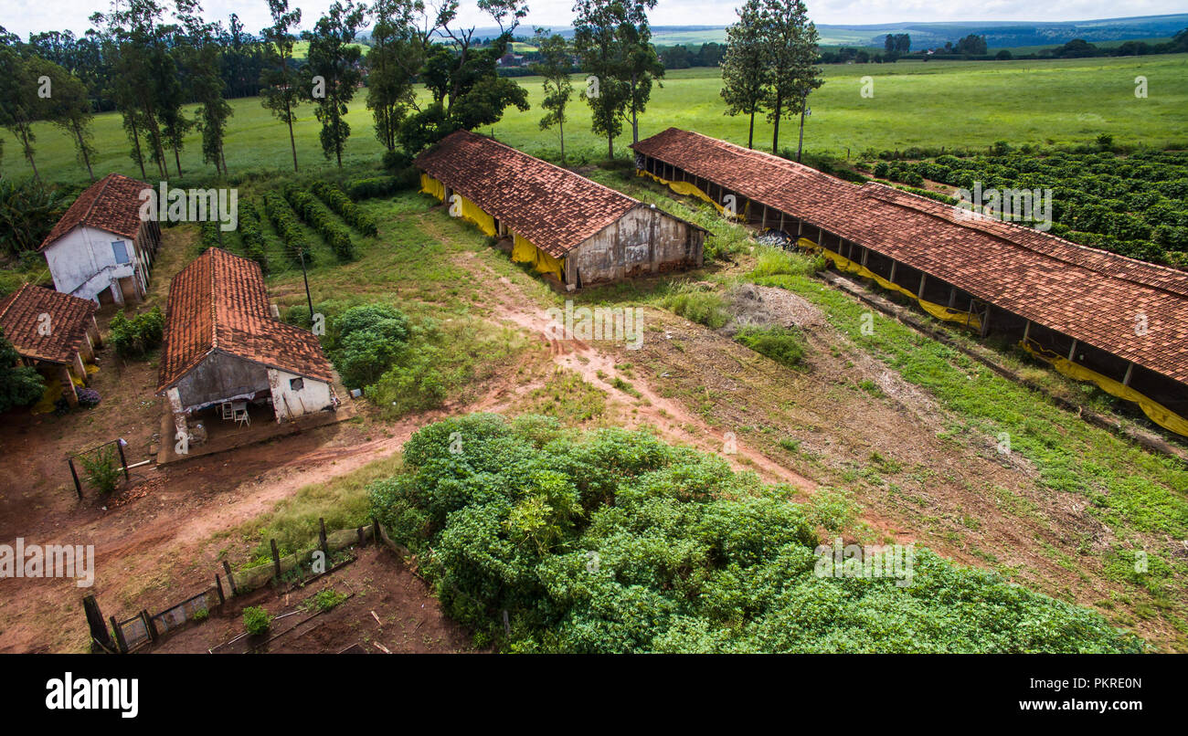 Small coffee plantation brazil hi-res stock photography and images - Alamy