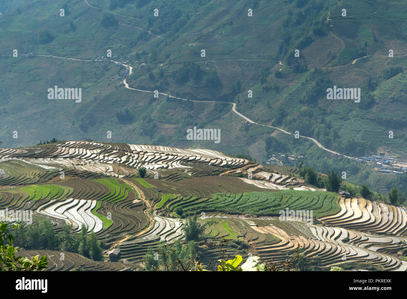The image is as beautiful as the oil painting of terraced field in Mu ...