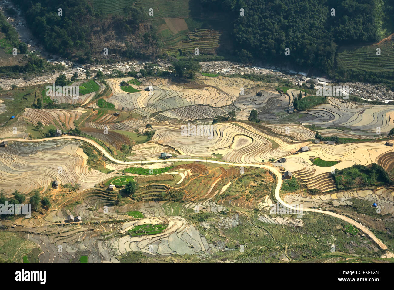 The image is as beautiful as the oil painting of terraced field in Mu ...
